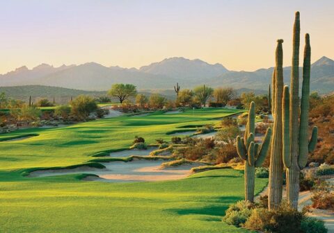 What to Expect from Tucson, AZ Weather in January - Tucson Fun and Sun